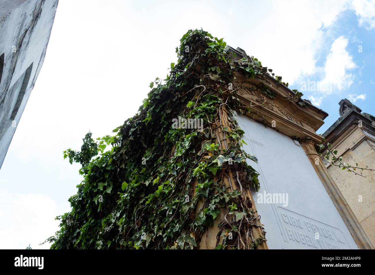An ancient Crypt / mausoleum full of climbing plants and moss at ...