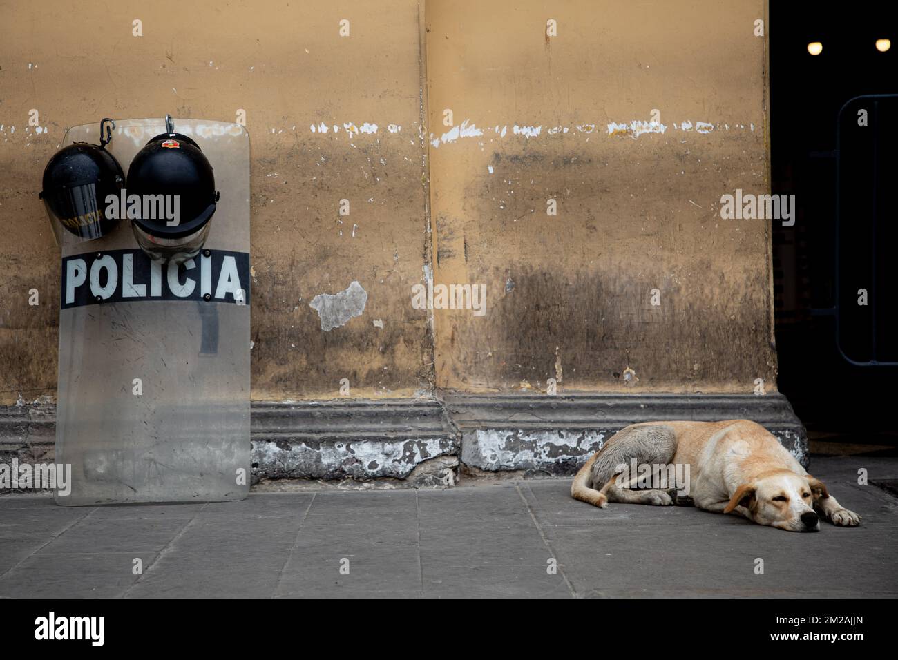 Lima, Peru. 13th Dec, 2022. A dog lies next to a police sign. Due to ...