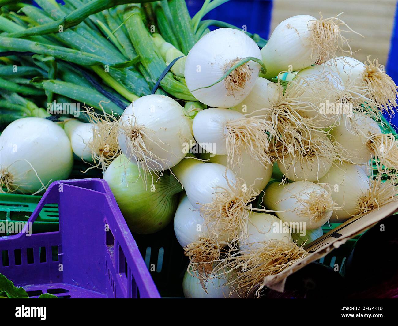 Sale at the vegetable market | Vente au marché aux légumes 27/10/2017 ...
