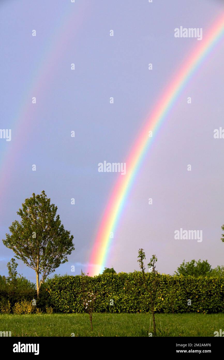 Arc light plants hi-res stock photography and images - Alamy