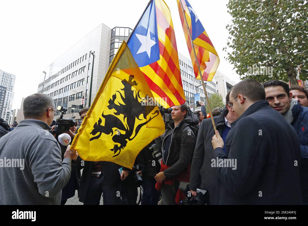 Vlaamse leeuw hi-res stock photography and images - Alamy