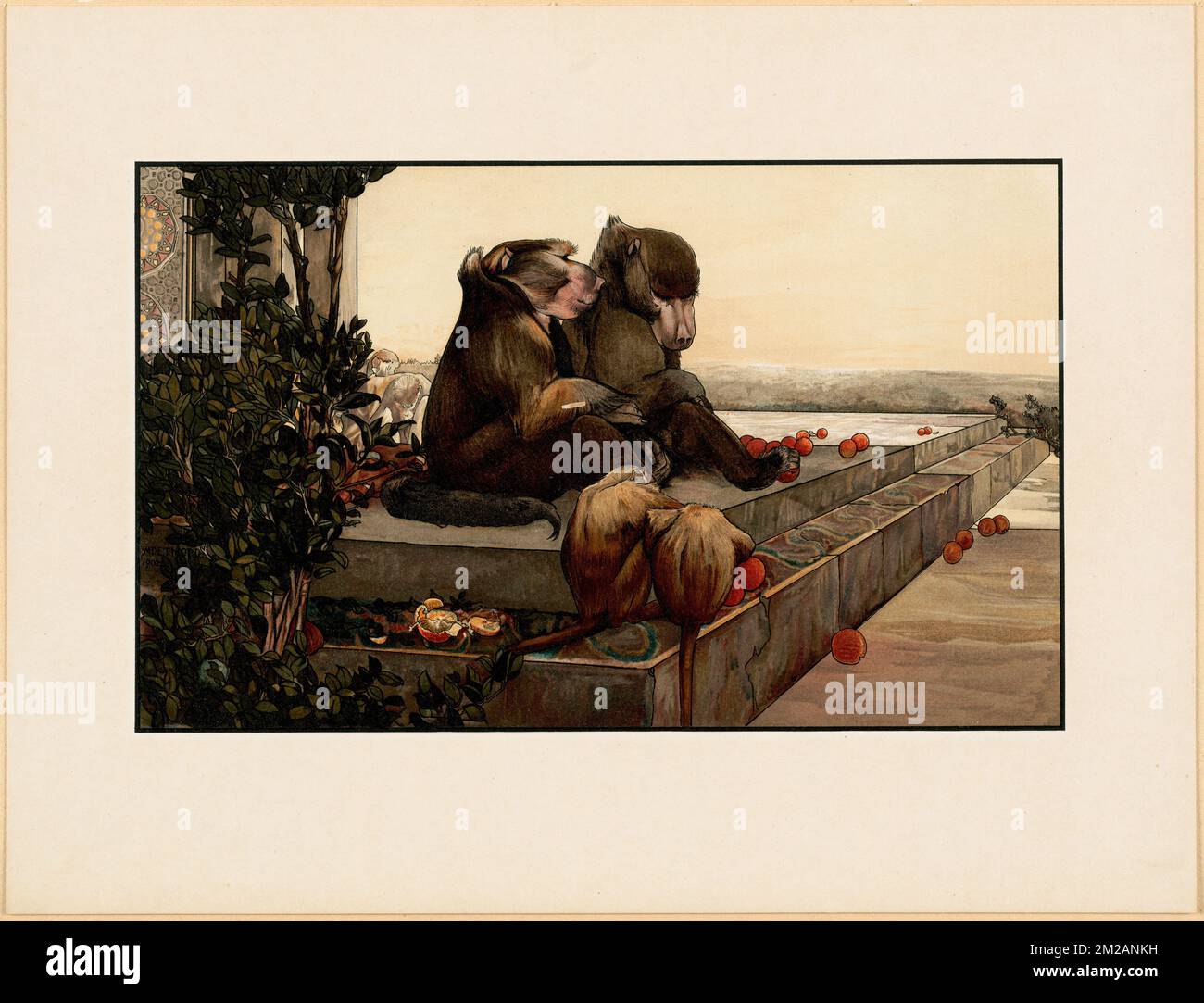 The Cold Lairs , Monkeys, Fruit. John D. Merriam Collection Stock Photo ...