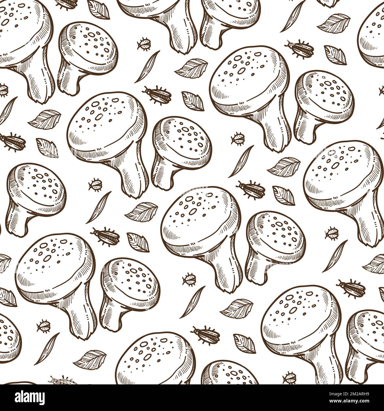 Tricholoma matsutake Stock Vector Images - Alamy
