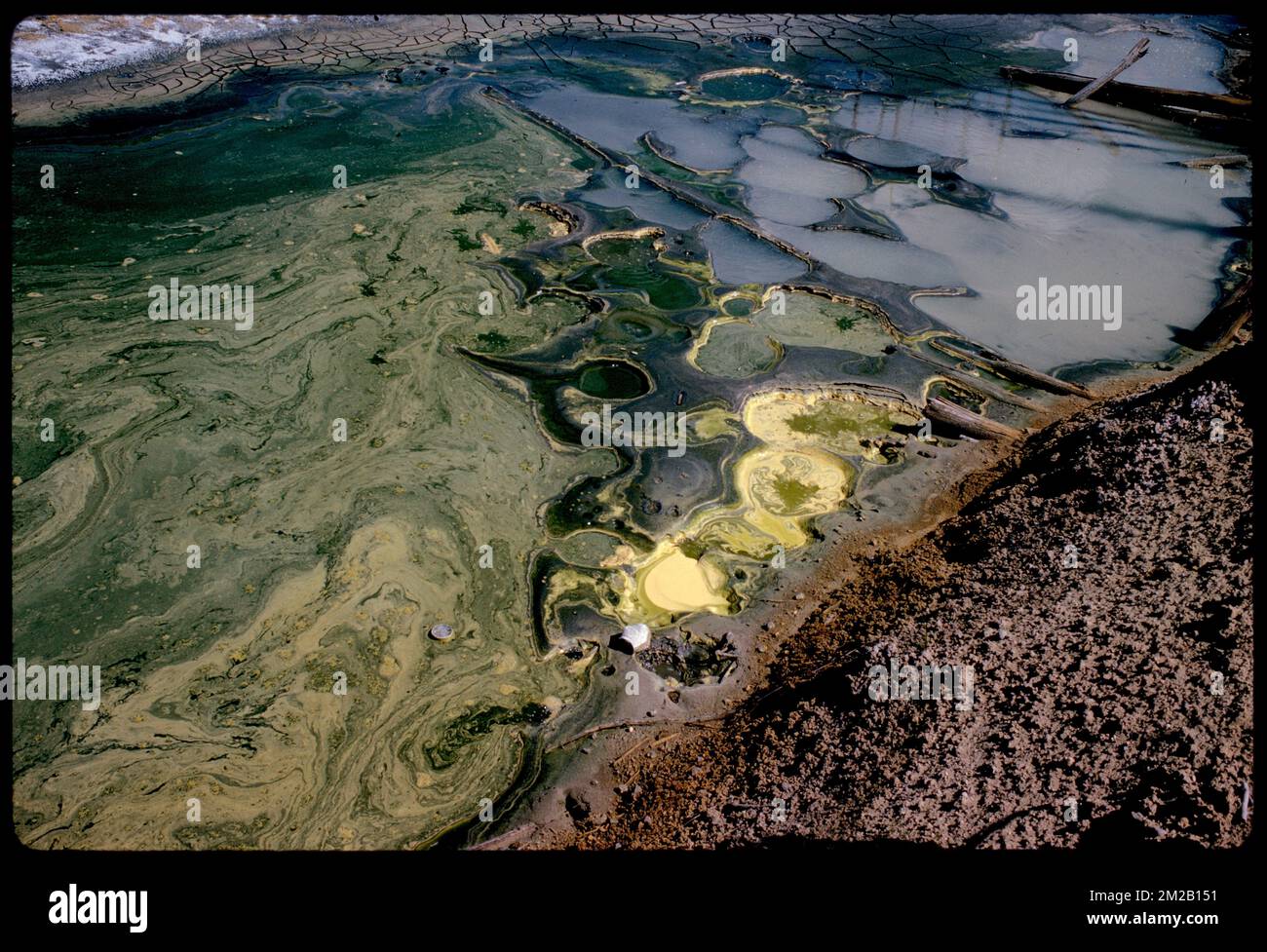 Colorful basin, Yellowstone National Park , Springs, Basins Bodies of ...