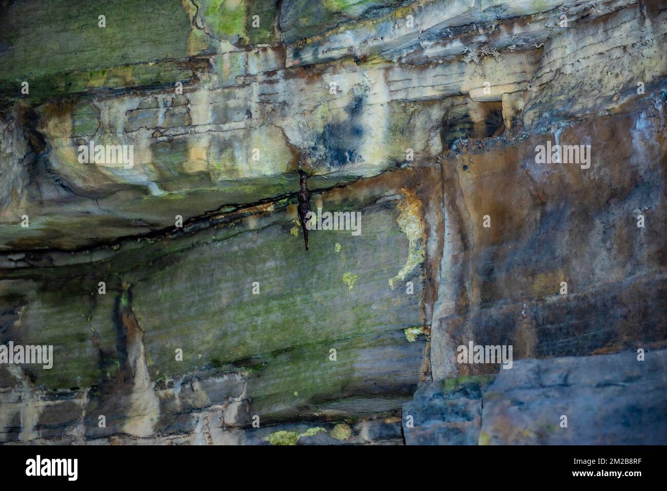 Natural graffiti cave art at Howe Caverns, New York Stock Photo - Alamy