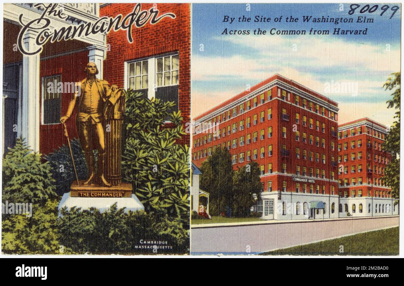 The Commander, by the site of the Washington Elm, across the common ...