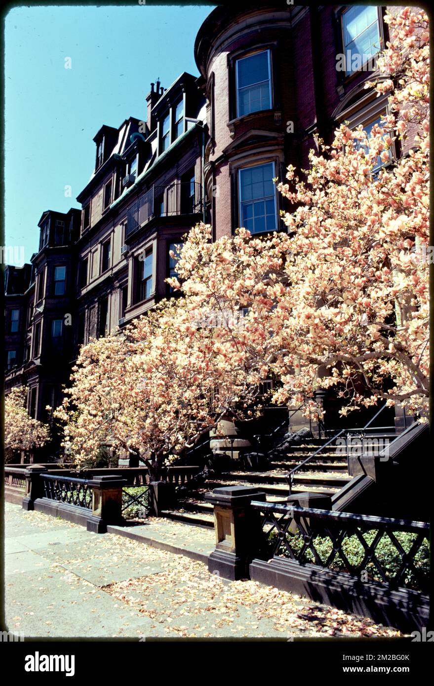 Commonwealth Ave. between Arlington & Berkeley Streets. , Residential ...