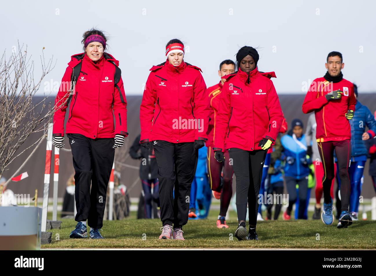 Hanna vandenbussche hi-res stock photography and images - Alamy