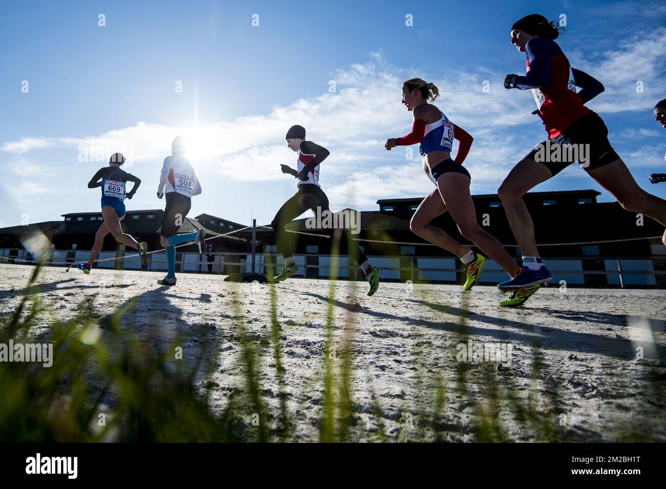 Illustration picture shows the Senior Women Race at the European Cross ...