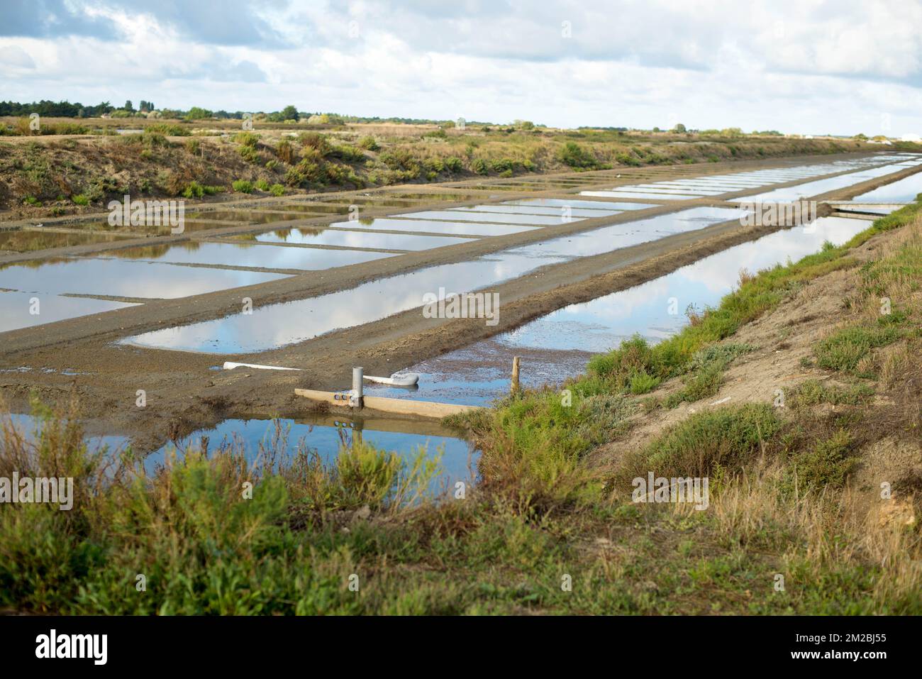 Salt marsh. | Marais salant. 05/05/2016 Stock Photo - Alamy