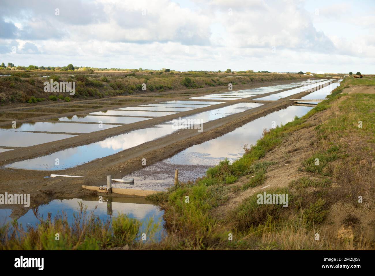 Ile de re marais salant hi-res stock photography and images - Alamy