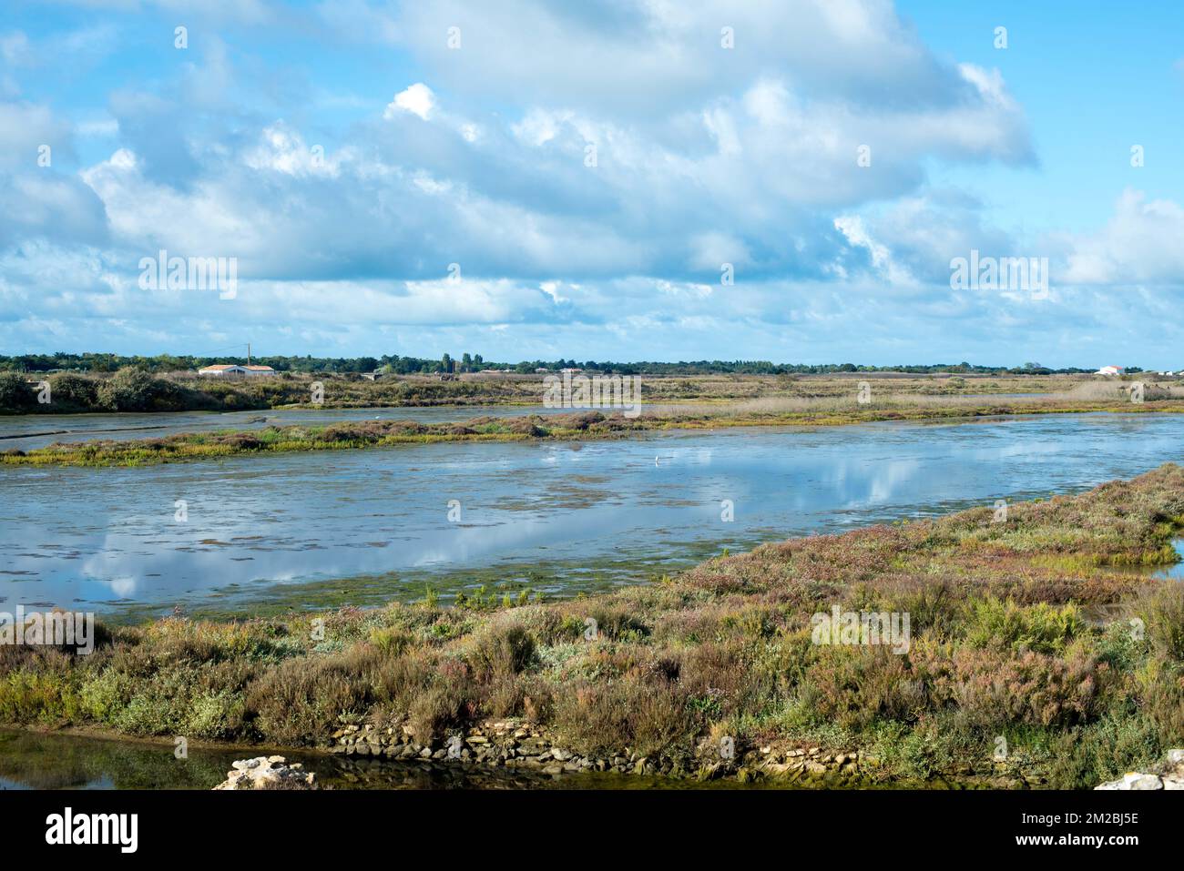 Salt marsh. | Marais salant. 05/05/2016 Stock Photo - Alamy