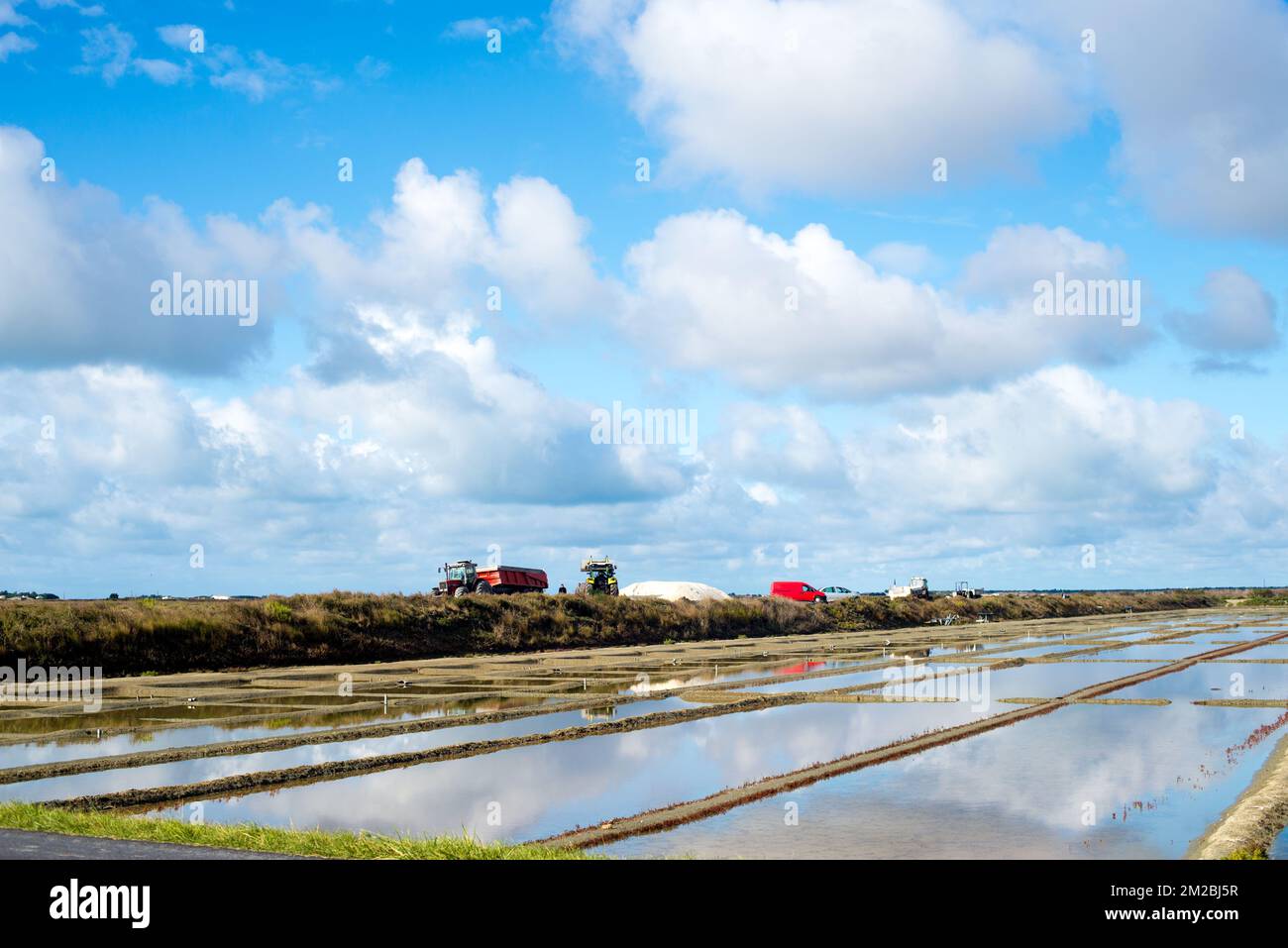 Salant hi-res stock photography and images - Alamy
