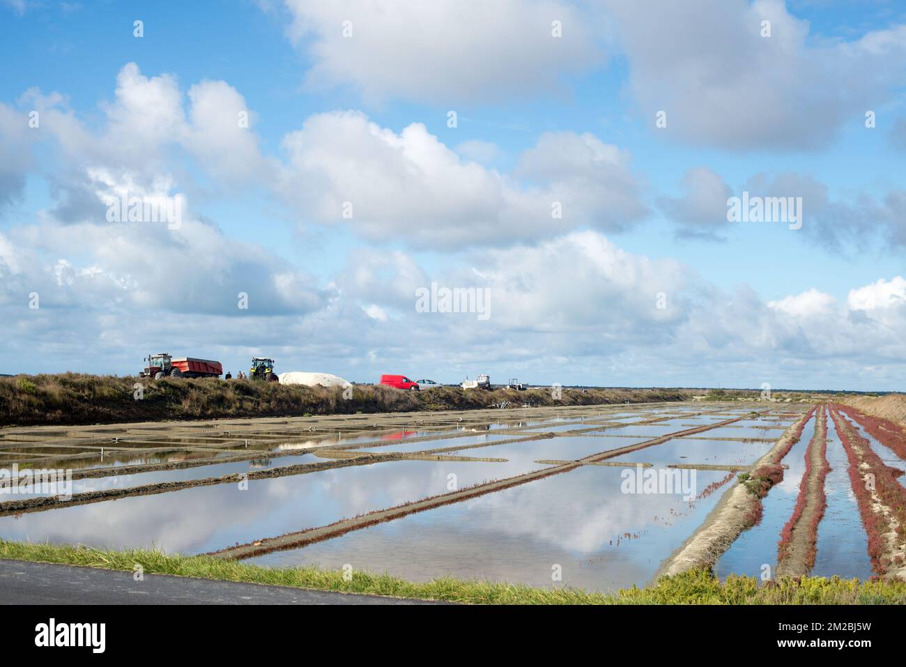 Ile de re marais salant hi-res stock photography and images - Alamy