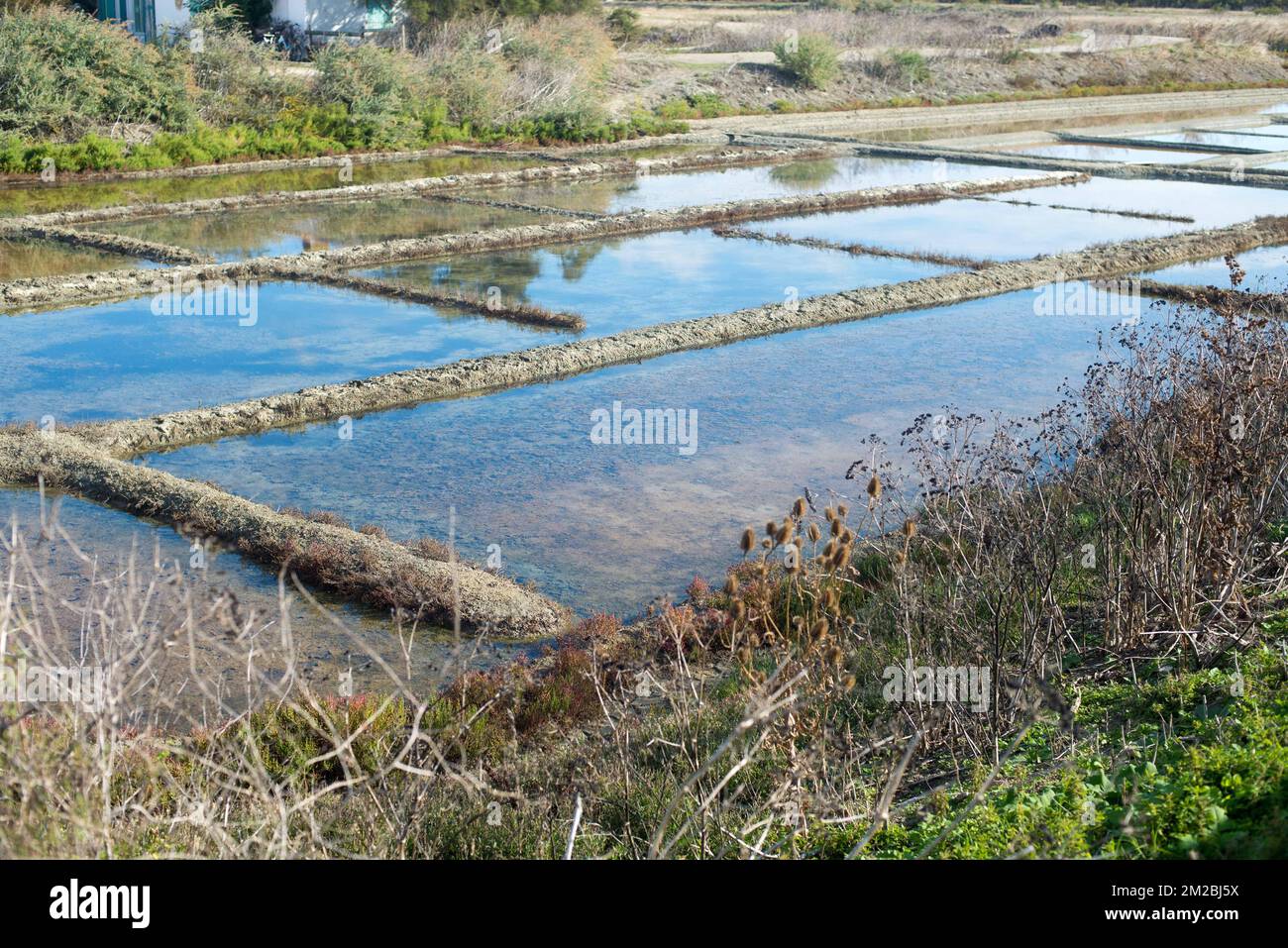 Salt marsh. | Marais salant. 05/05/2016 Stock Photo - Alamy