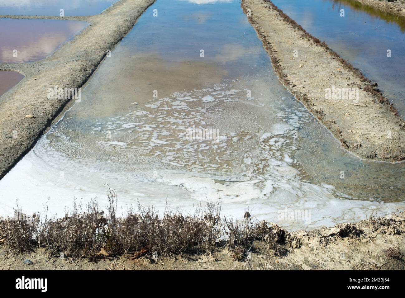 Marais salant hi-res stock photography and images - Alamy