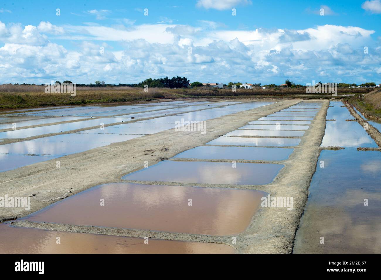Ile de re marais salant hi-res stock photography and images - Alamy