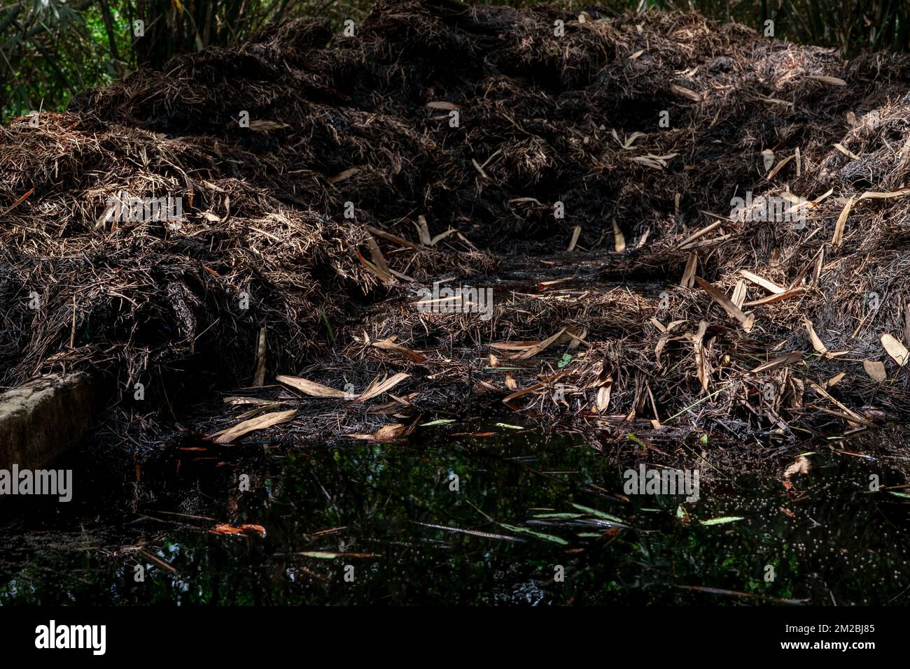 Compost pile in the garden. Compost build healthy soil. Organic ...