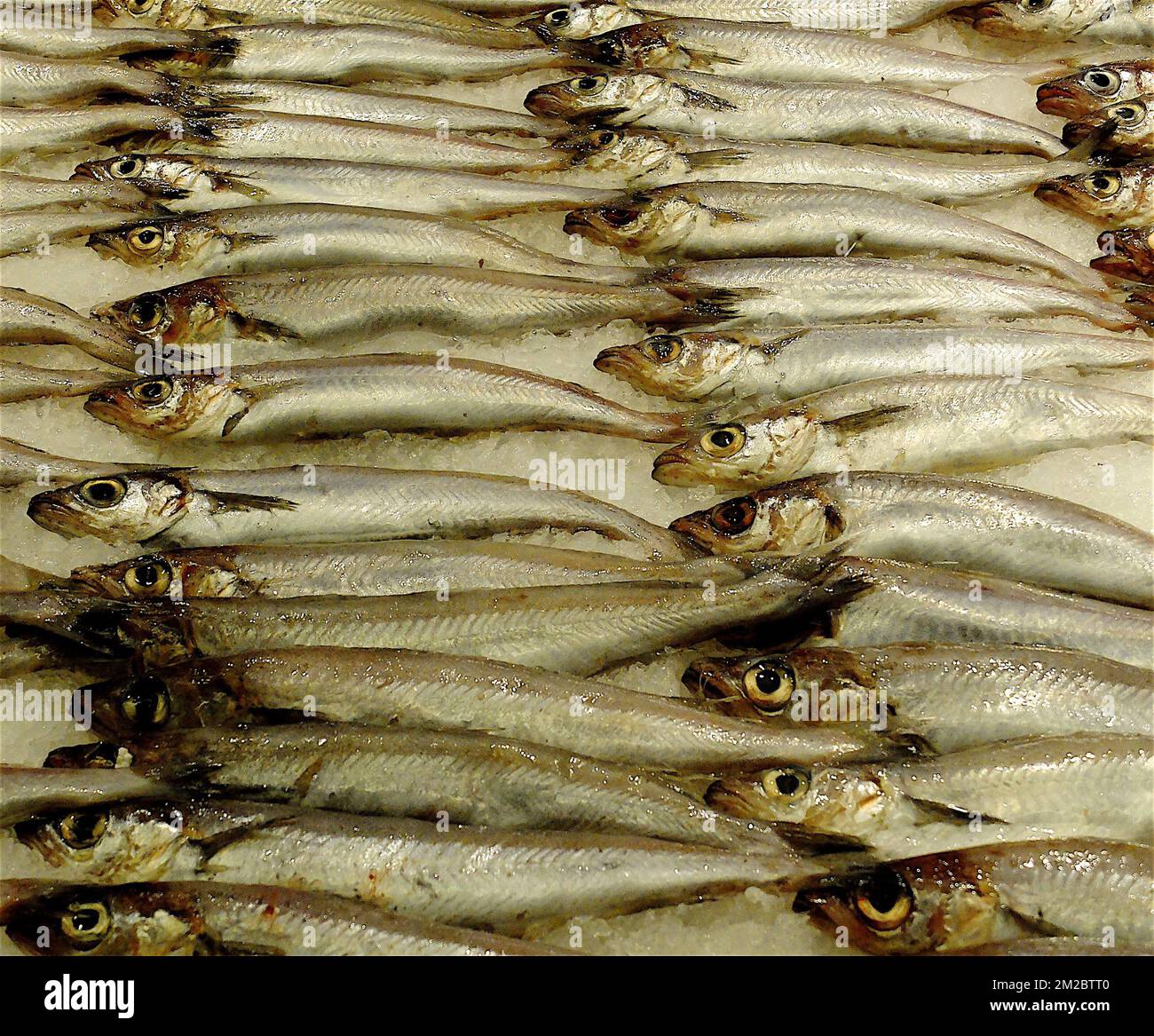 Anchois hi-res stock photography and images - Alamy