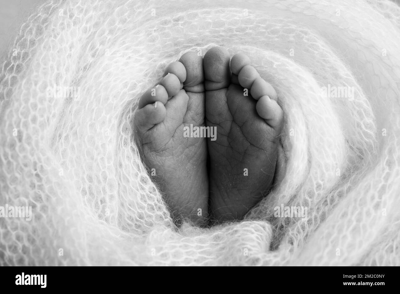 Soft feet of a newborn in a blanket Close-up of toes, heels and feet of ...