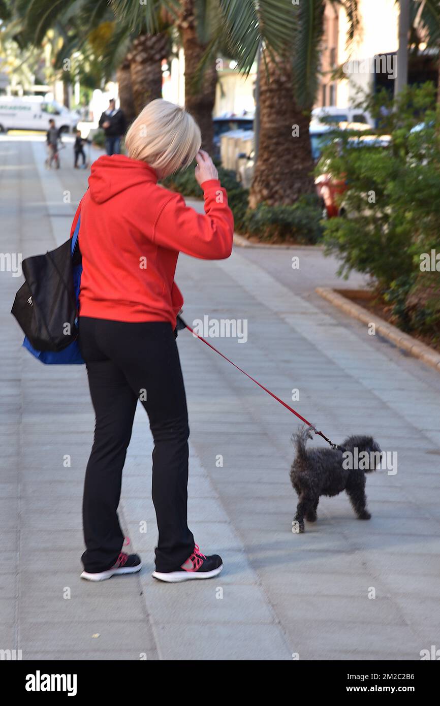 30 chien hi-res stock photography and images - Alamy