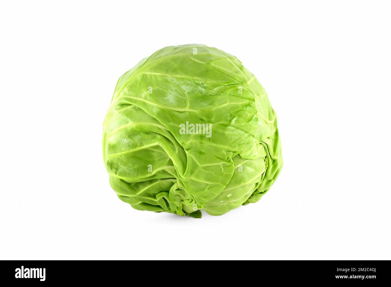 Fresh white cabbage isolated on a white background Stock Photo - Alamy