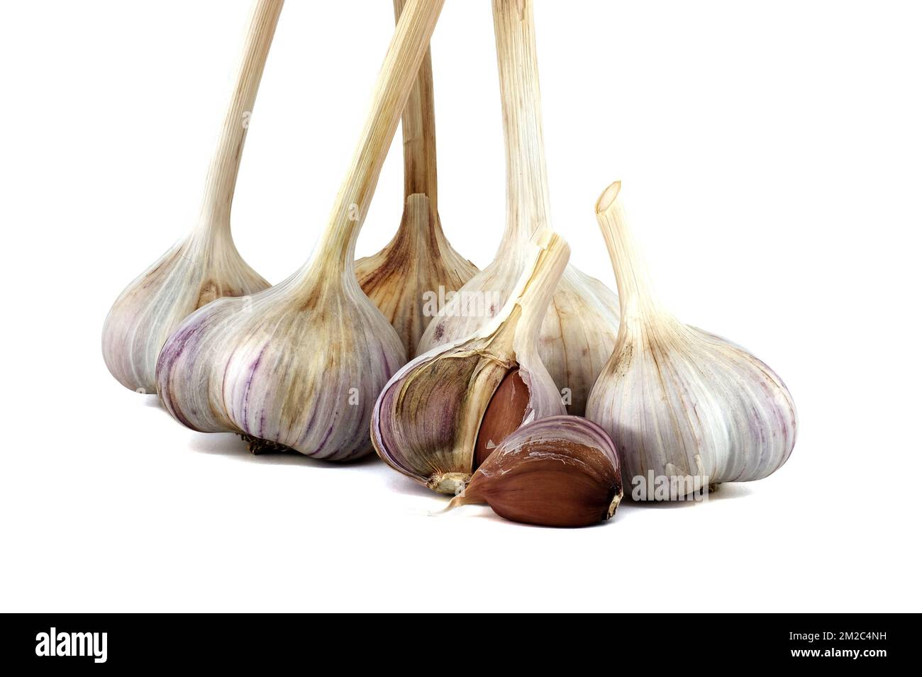 Garlic bulbs and cloves in close-up isolated on white background Stock ...