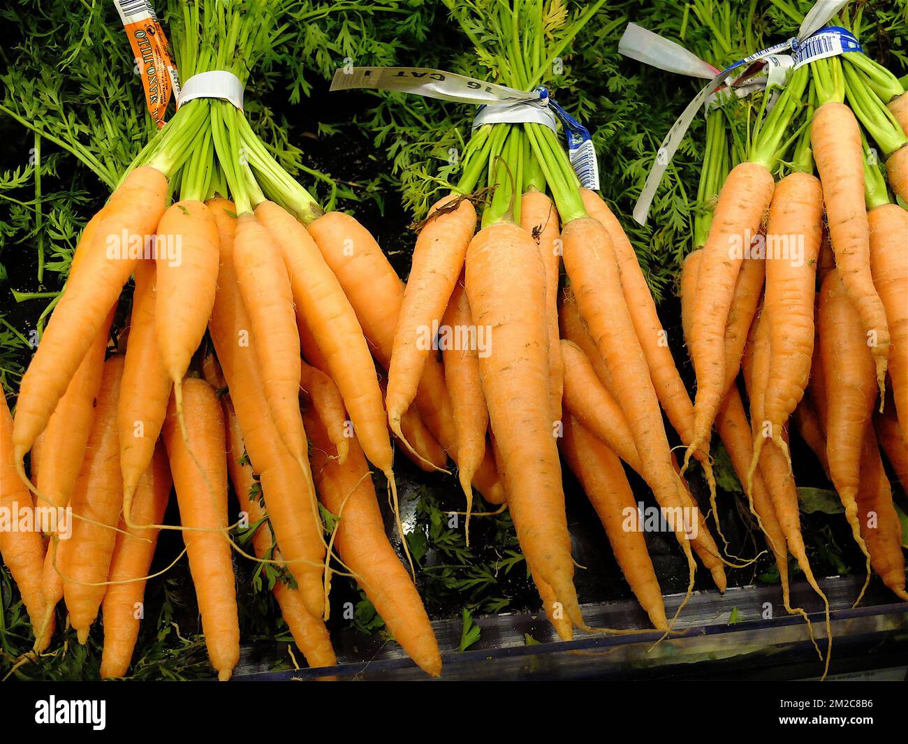 Feuilles de carotte hi-res stock photography and images - Alamy