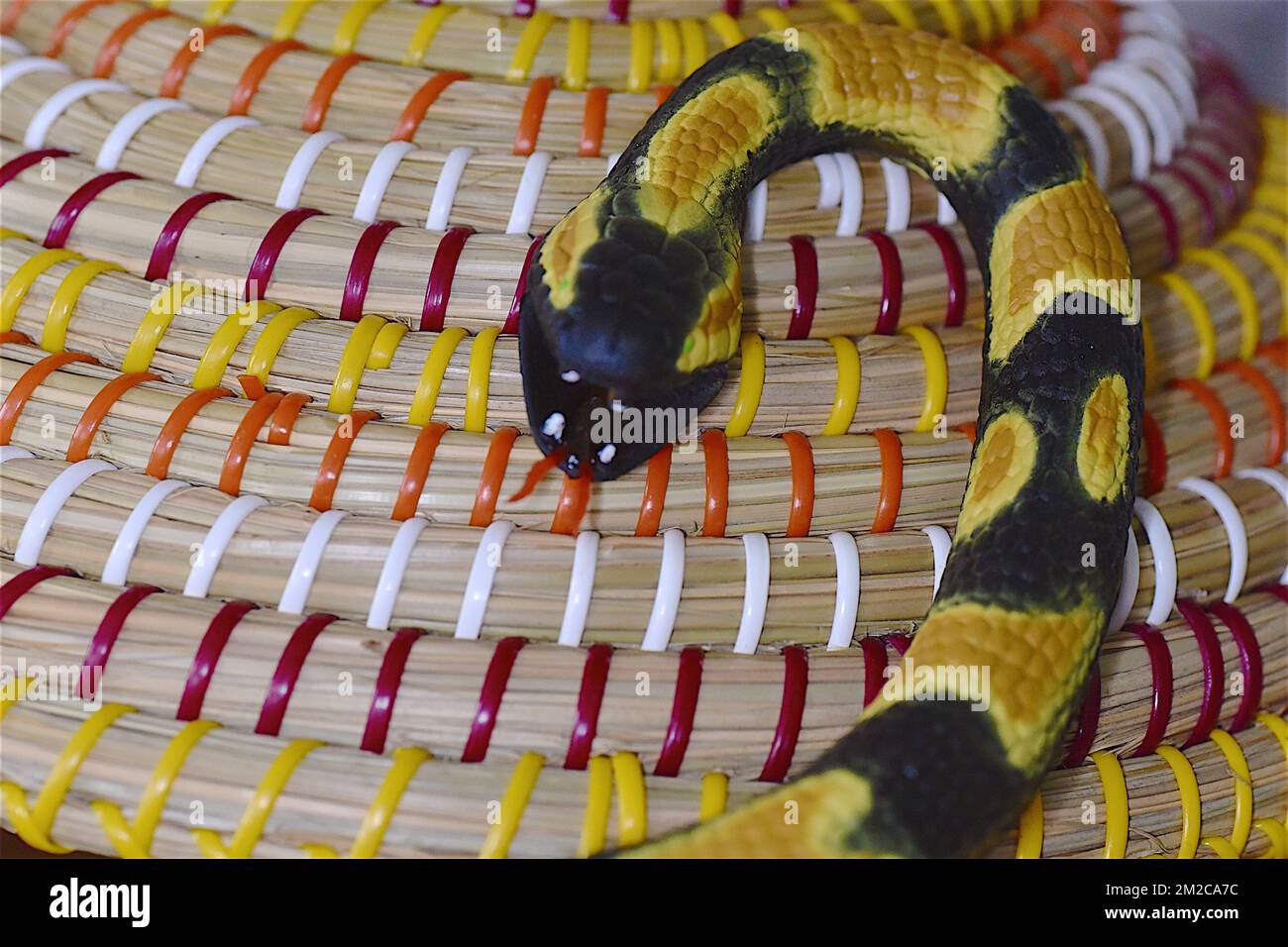 The serpent python hi-res stock photography and images - Alamy
