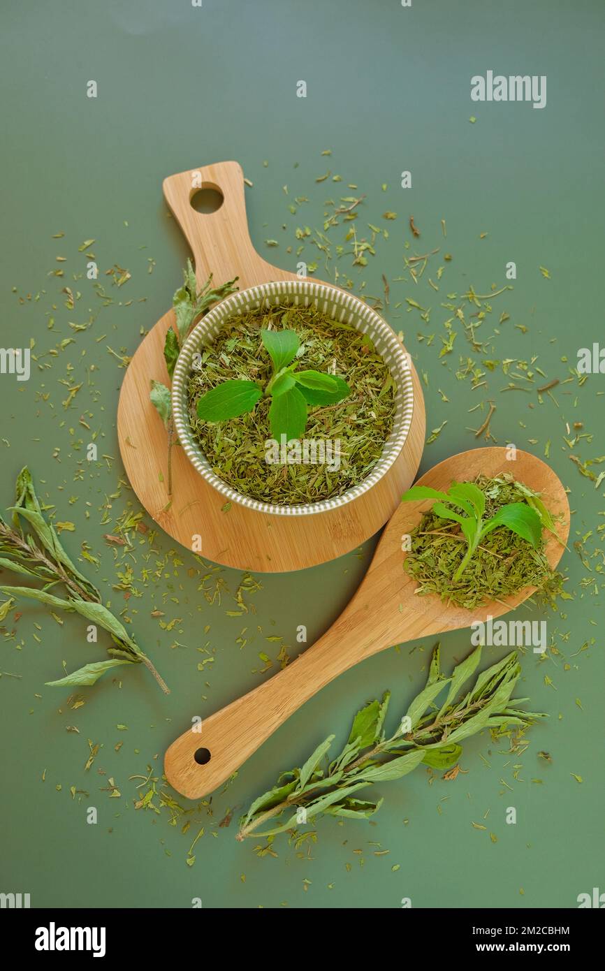 Sugar substitute.Stevia rebaudiana.Stevia plant.Alternative Low Calorie ...
