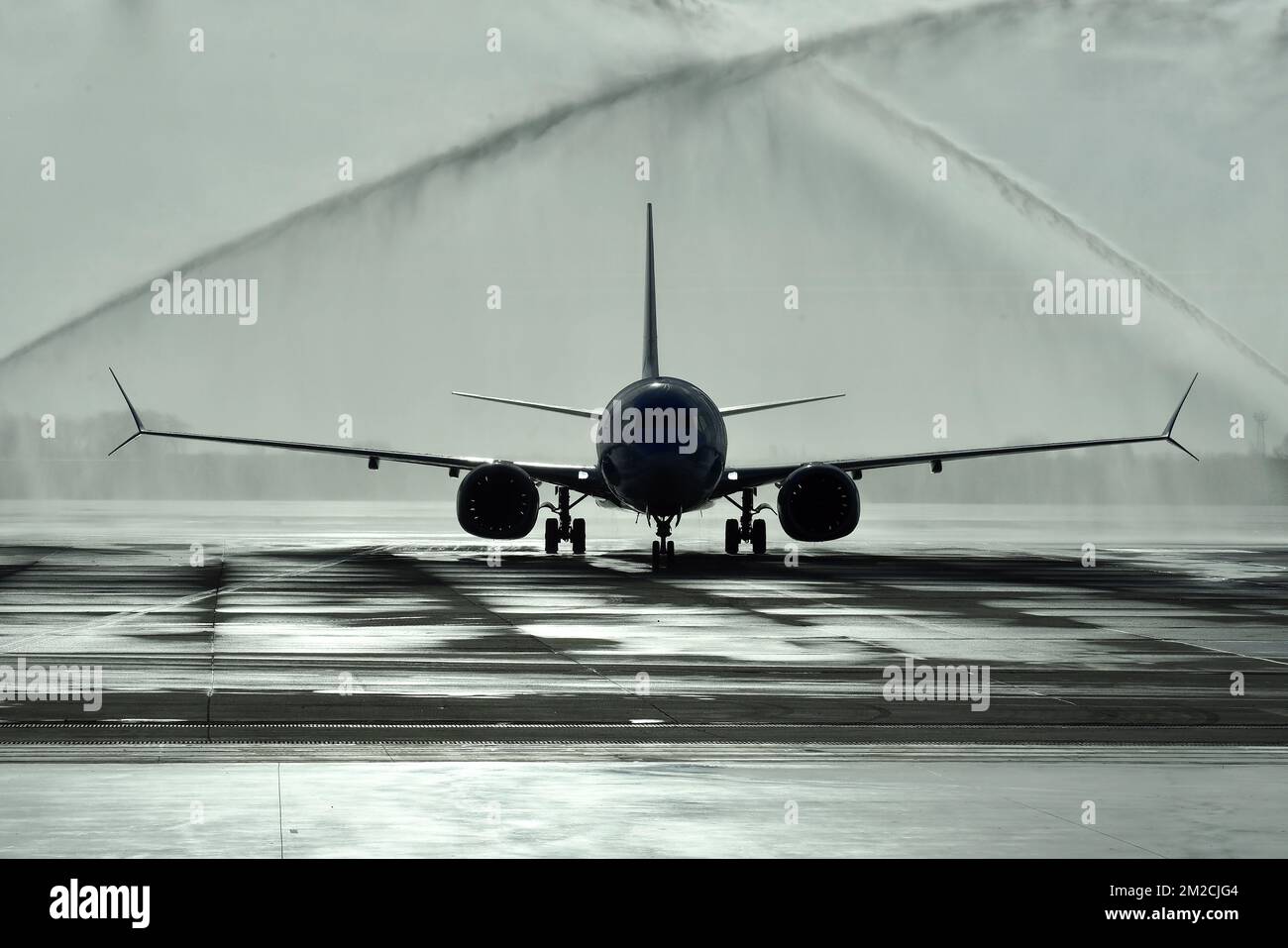 Inauguration of the first Boeing 737 MAX airplane of TUI, multinational ...