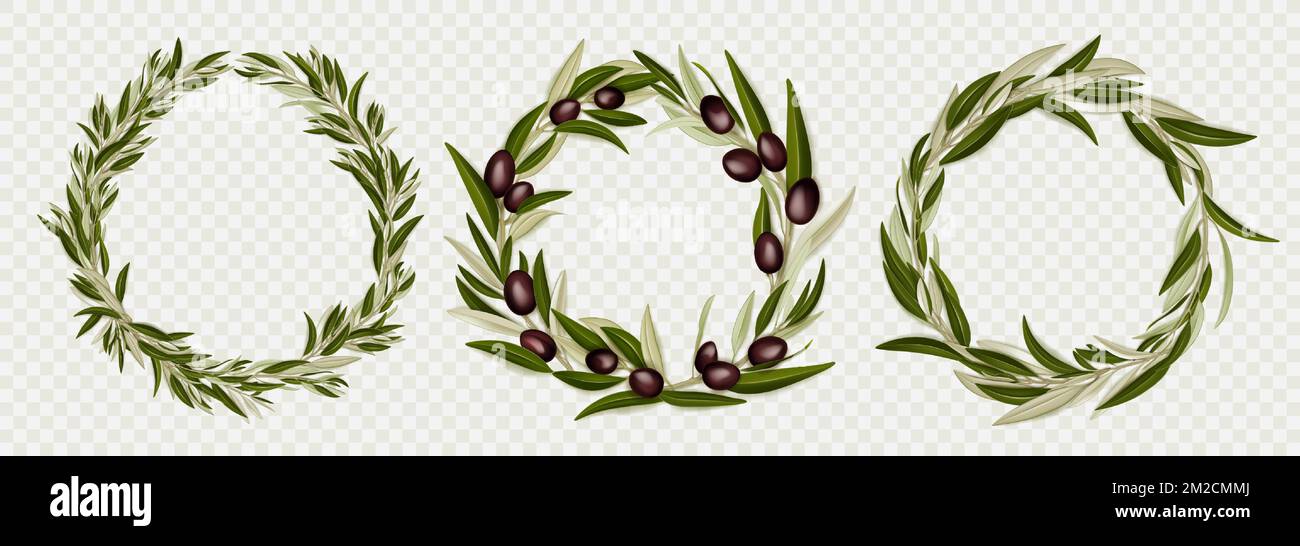 Round frames of realistic olive branches with black berries and green ...