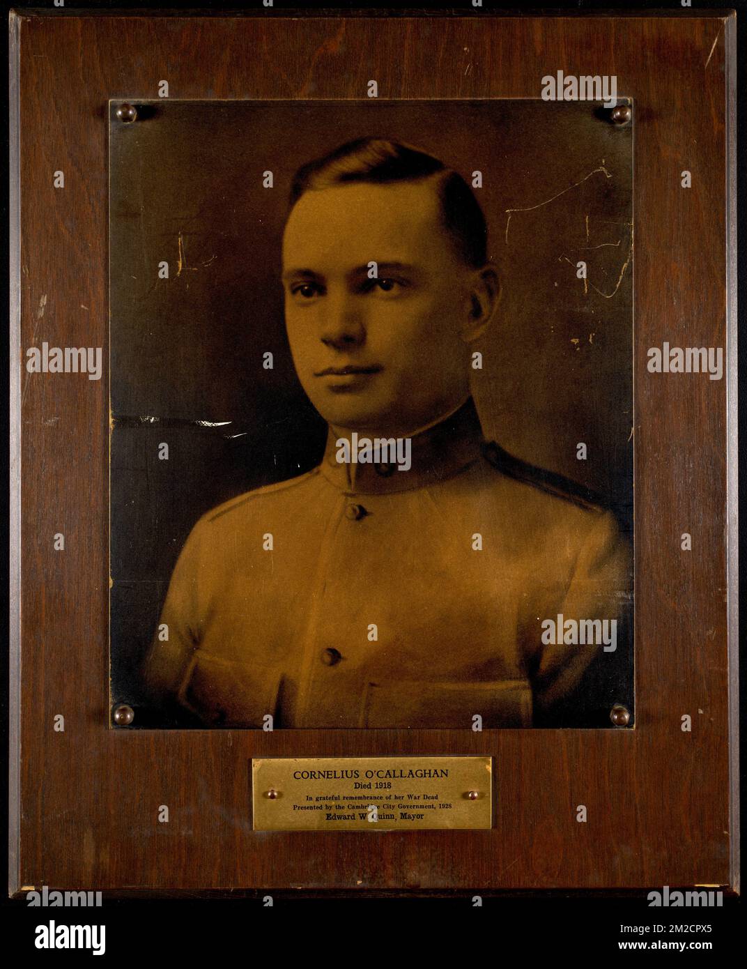 Cornelius O'Callaghan, died 1918 , Soldiers, World War, 1914-1918 Stock ...