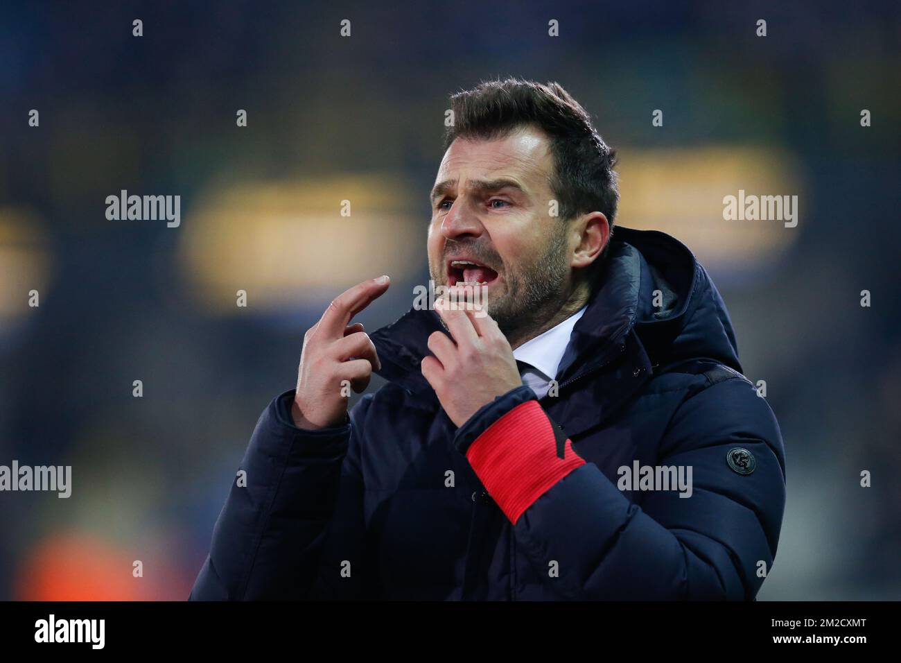 Club Brugge's head coach Ivan Leko pictured during a soccer game ...