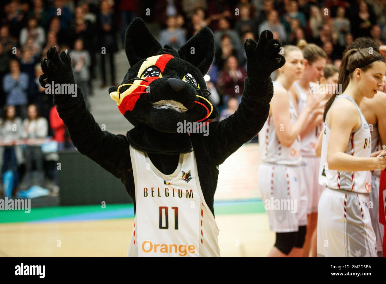 Belgian Cats mascot pictured ahead of the Euro 2019 qualification match ...