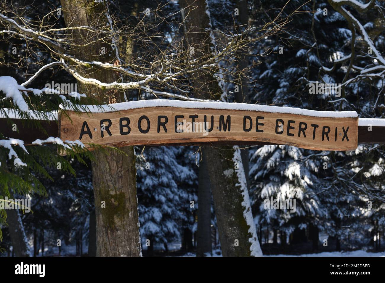 Arboretum of Bertrix | Arboretum de Bertrix 08/02/2018 Stock Photo - Alamy