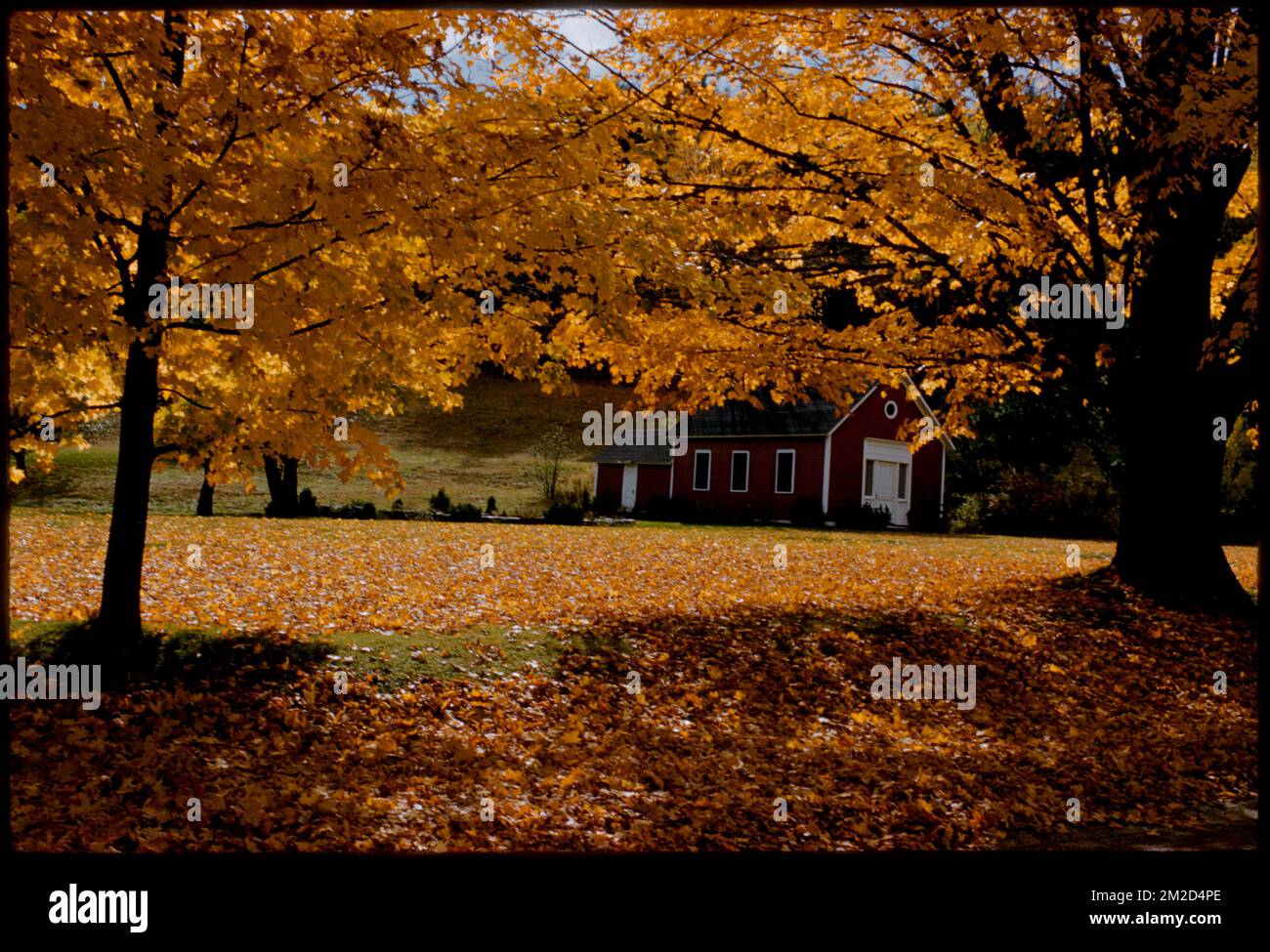 Country house and fall foliage , Houses, Autumn, Trees. Edmund L ...