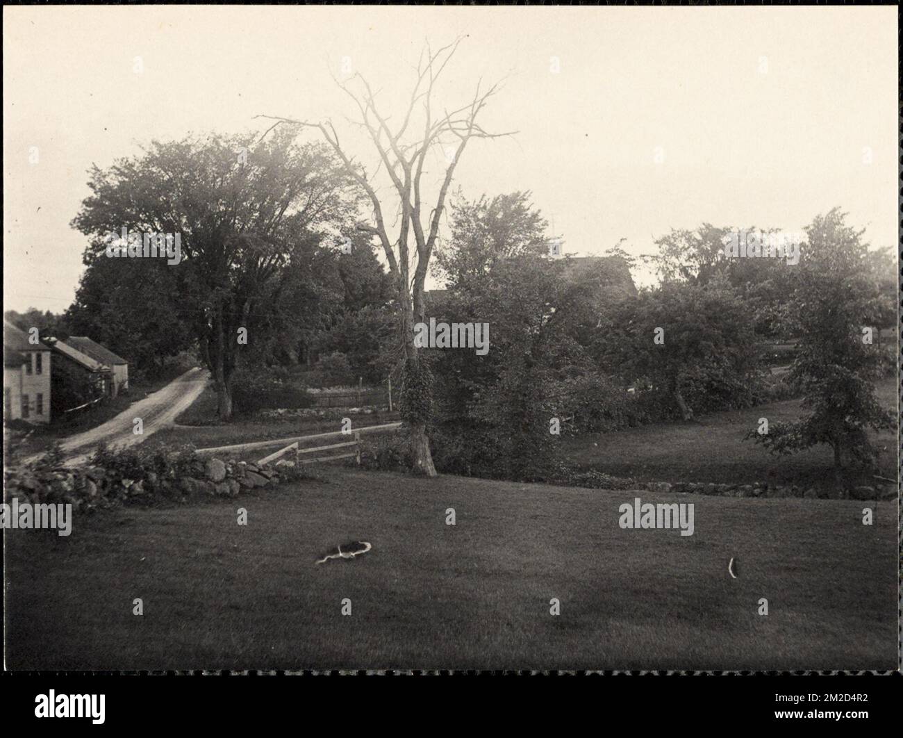 Country road, Sharon MA ,. Sharon Public Library Photo Collection Stock ...