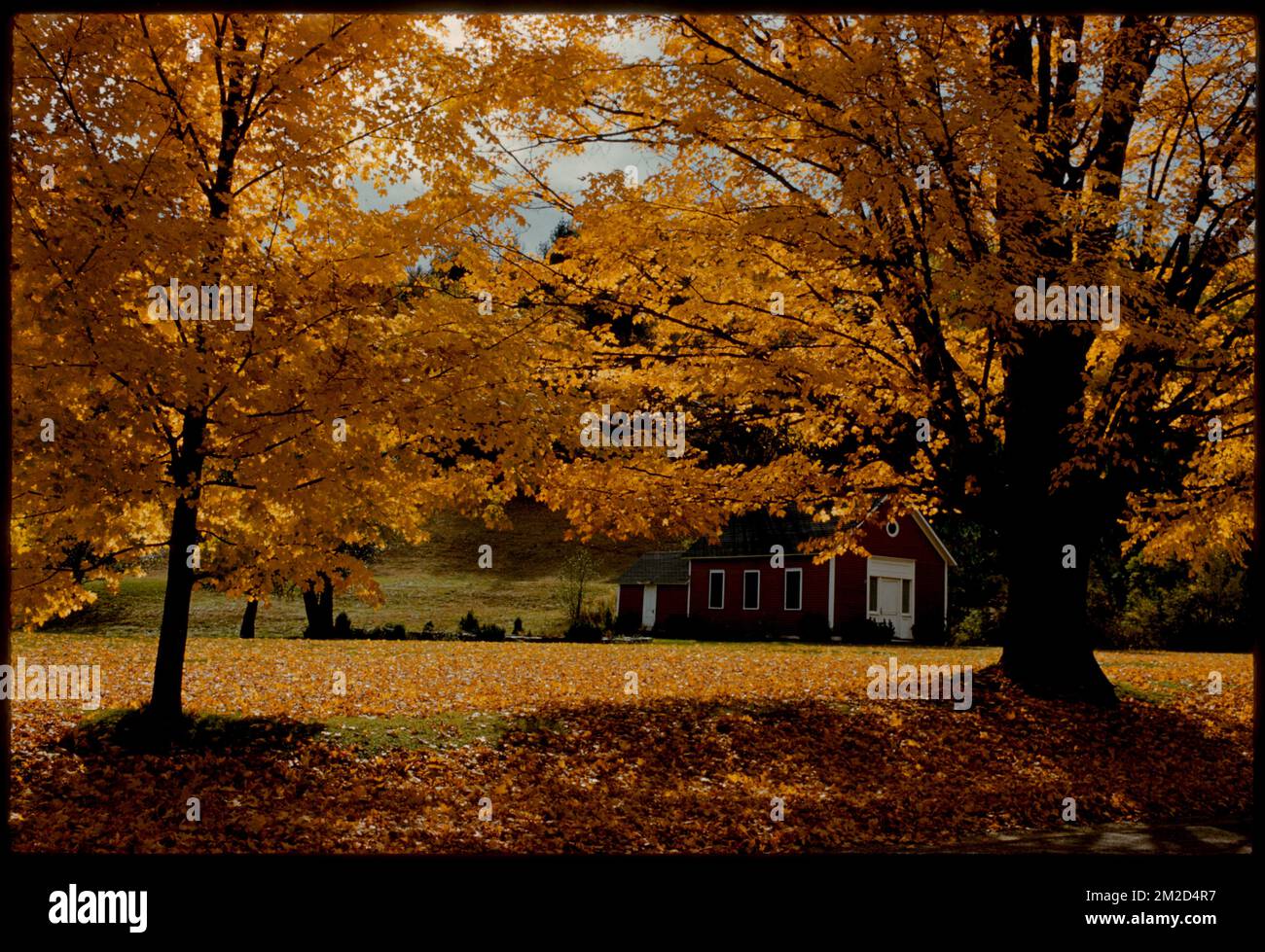 Country house and fall foliage , Houses, Autumn, Trees. Edmund L ...