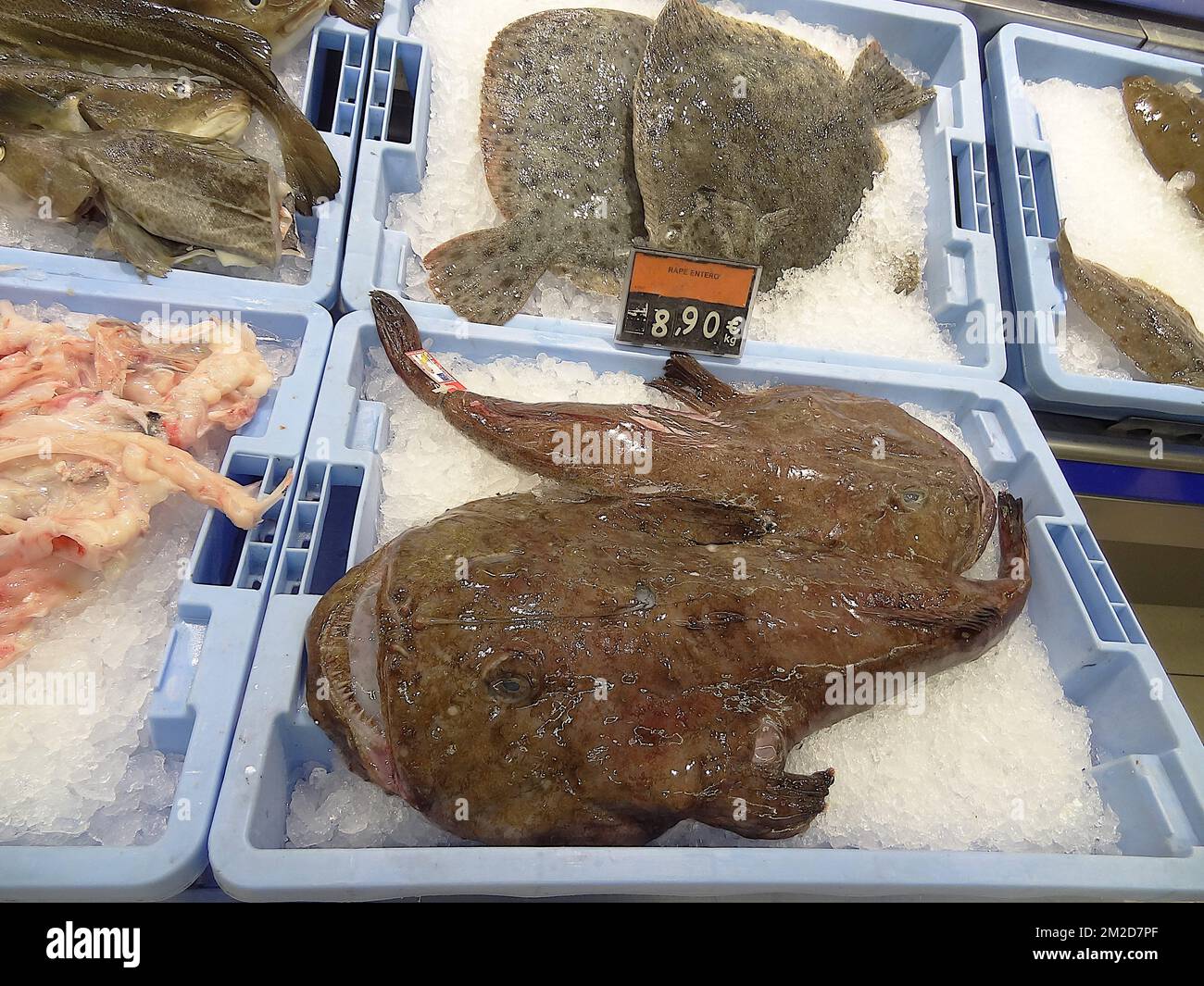 Surface de la mer de poisson hi-res stock photography and images - Alamy