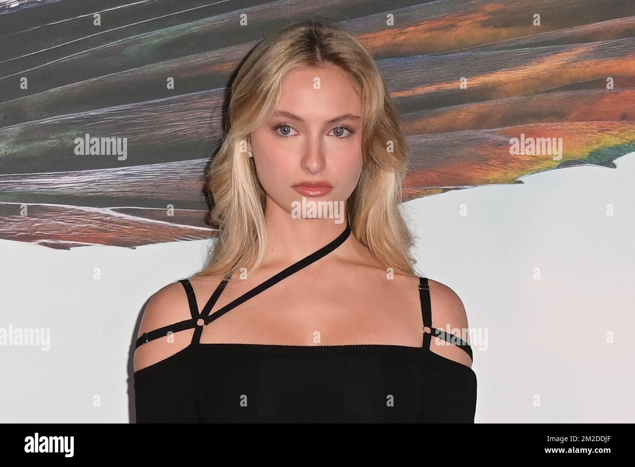 Rome, Italy. 13th Dec, 2022. Beatrice Vendramin attends the blu carpet ...