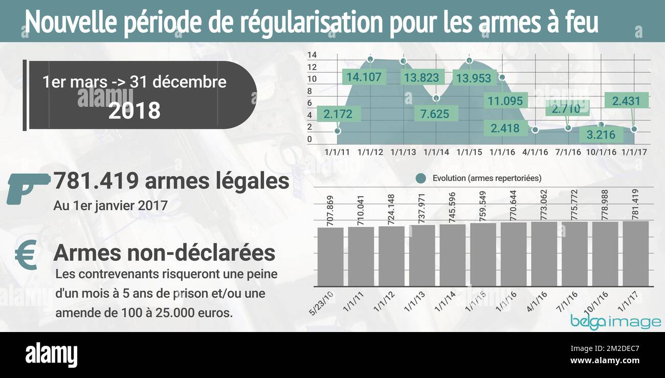 Infographic about the amnesty for gun owners with unregistered weapons ...