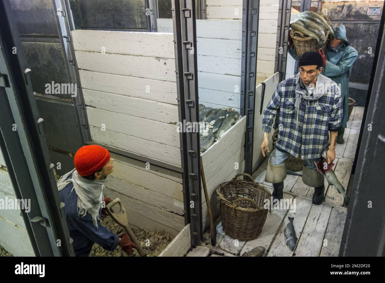 Crew in the fish hold of the last Iceland trawler Amandine, renovated ...