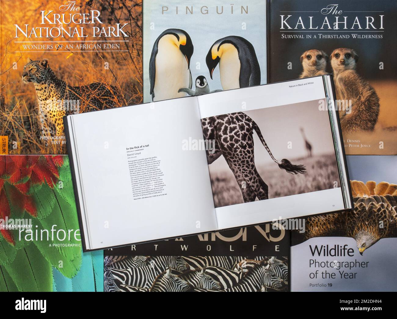 Collection of non-fiction hardcover coffee table books about wildlife ...