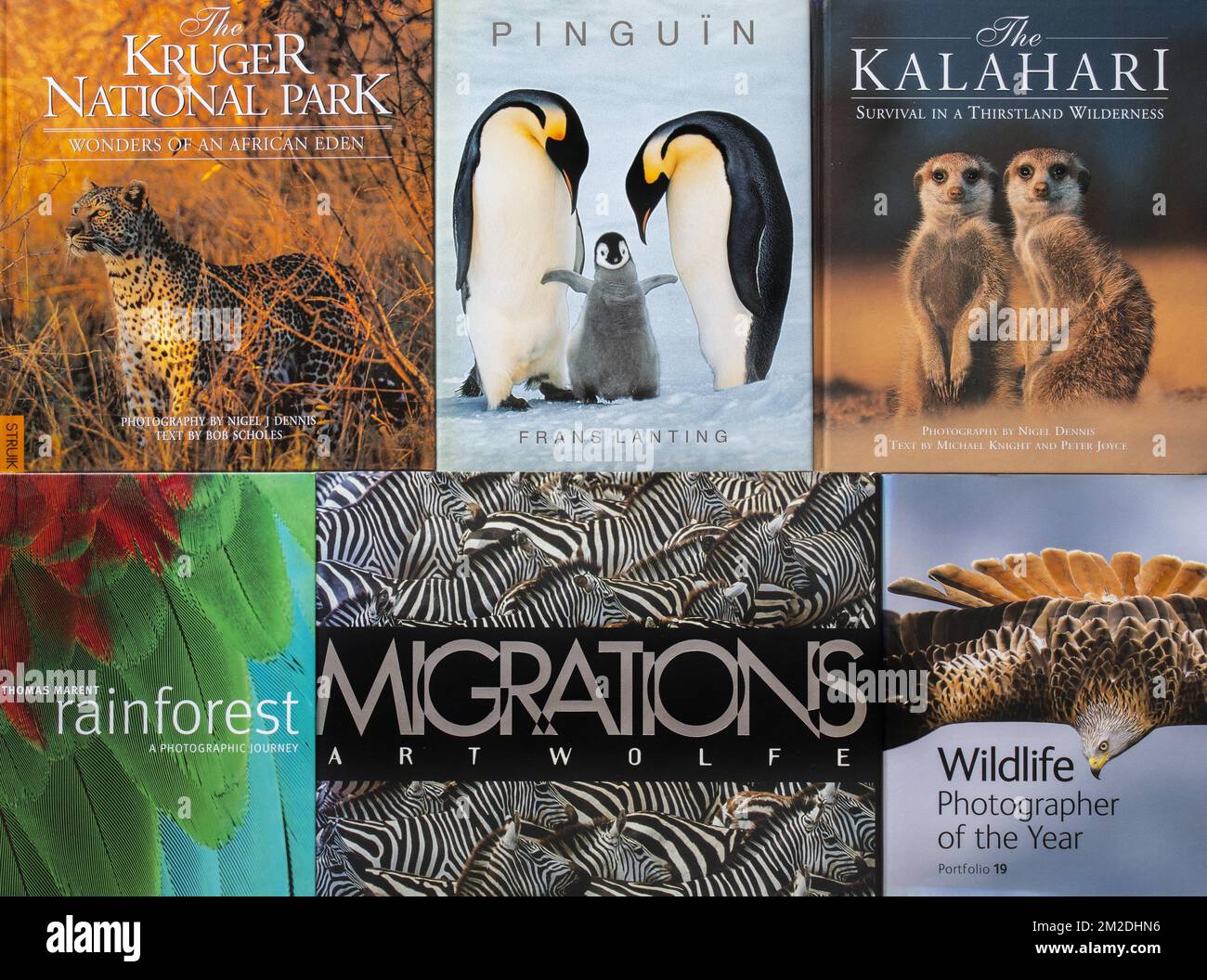 Frans lanting africa hi-res stock photography and images - Alamy