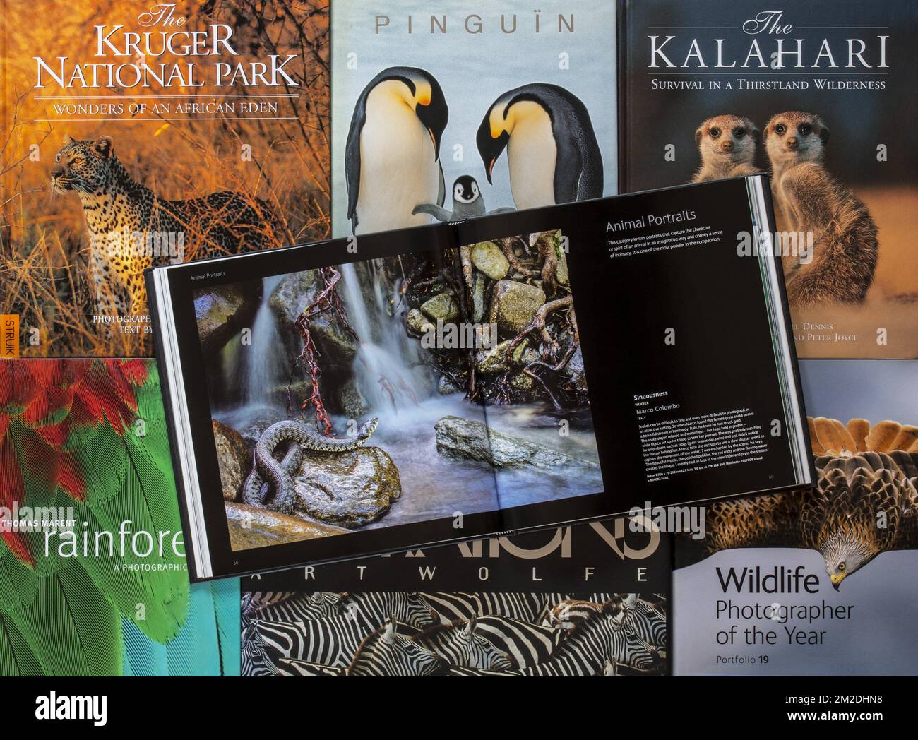Collection of non-fiction hardcover coffee table books about wildlife ...