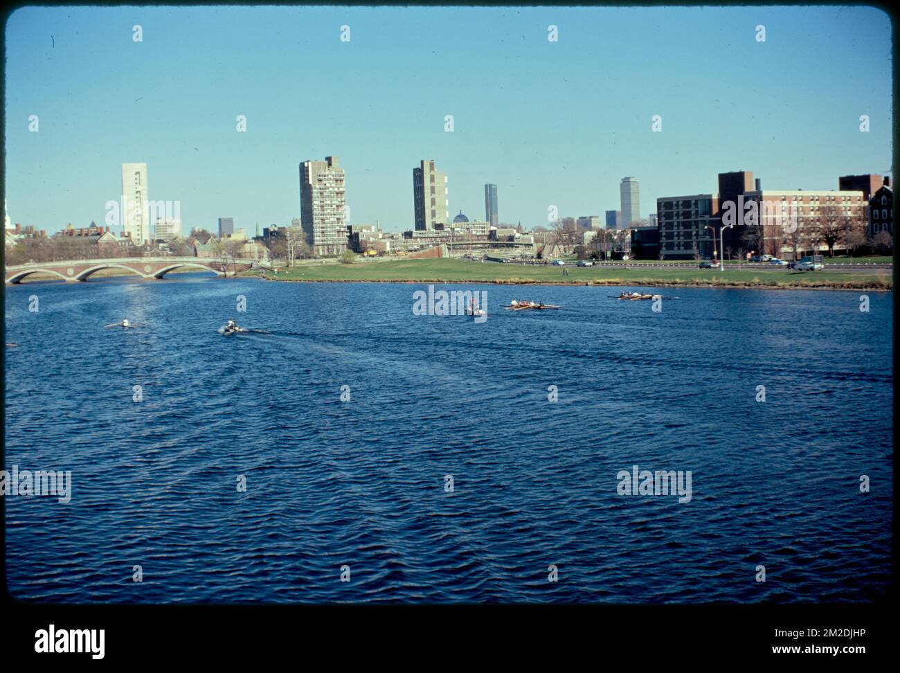 Crewing on the Charles , Rivers, Waterfronts, Rowing, Rowers ...