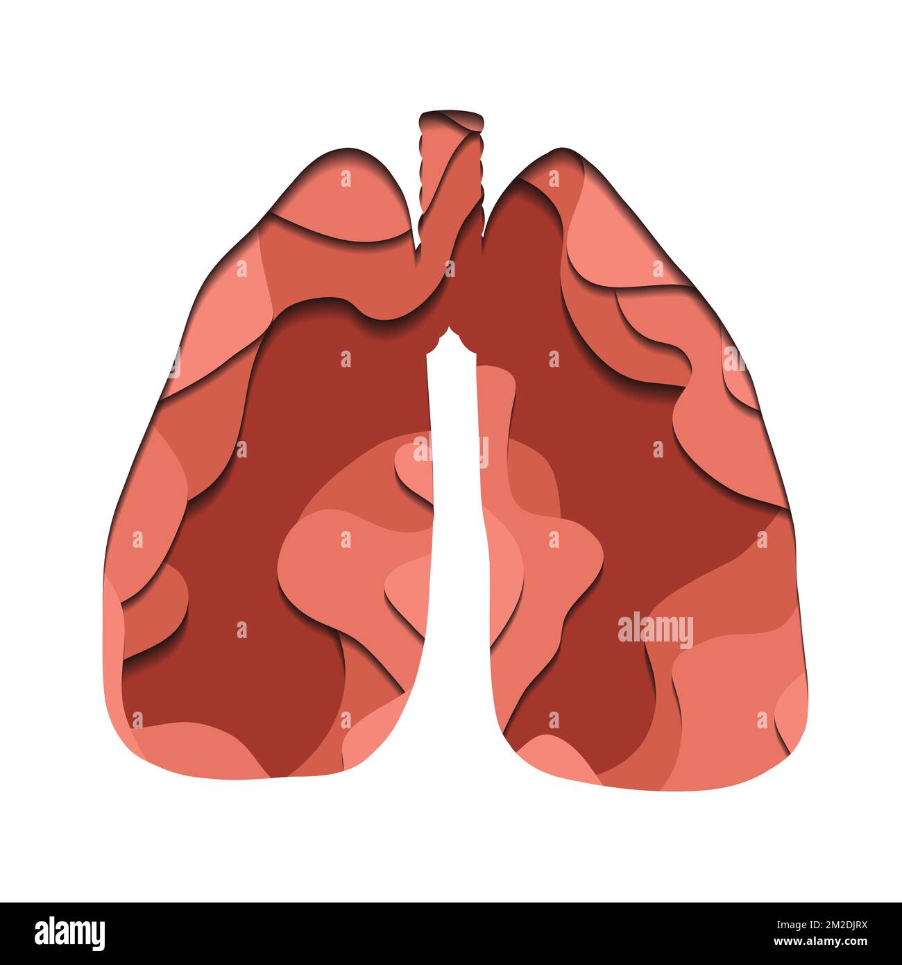 Lungs And Heart Clipart