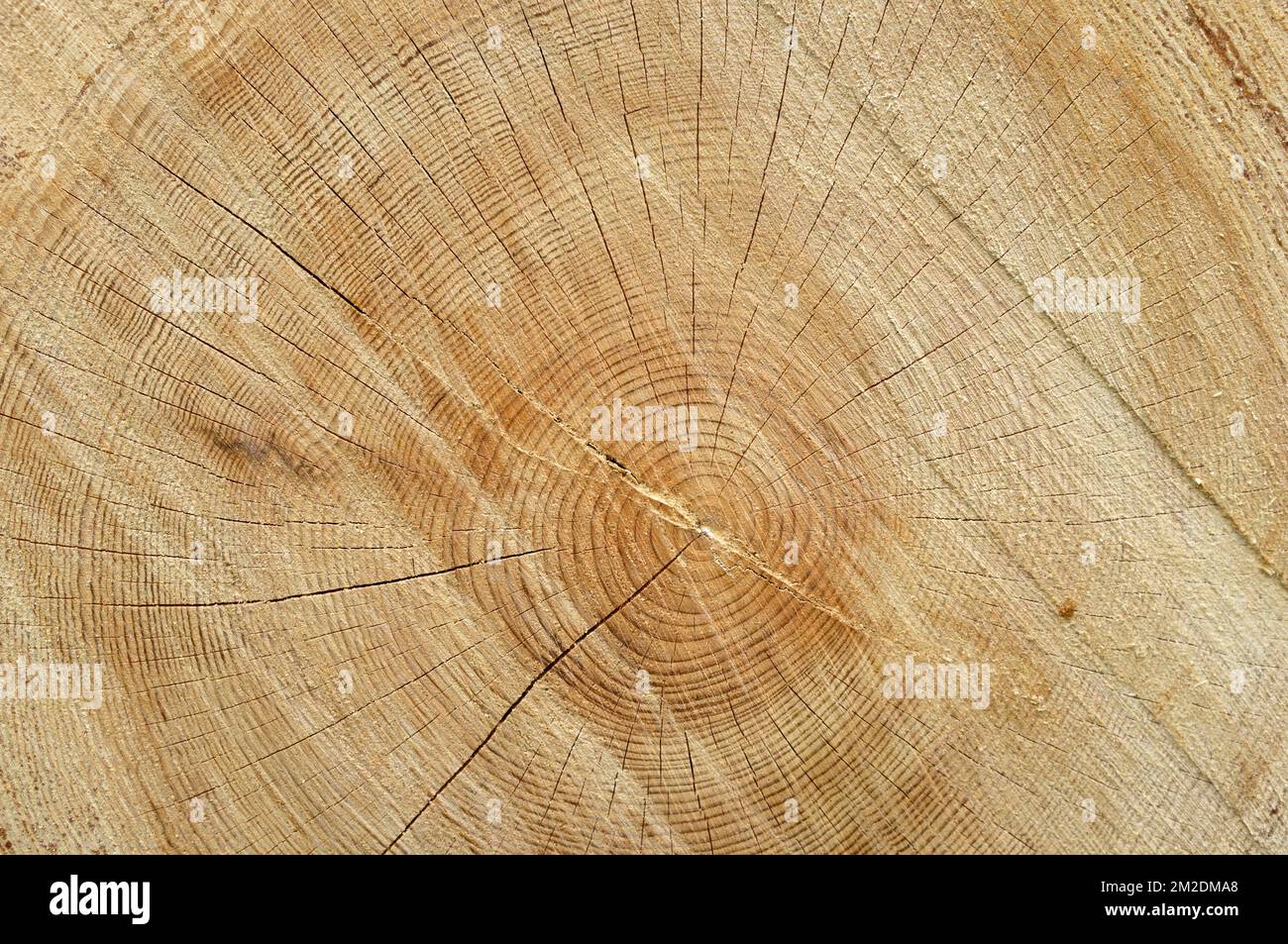 Arbre graphique hi-res stock photography and images - Alamy