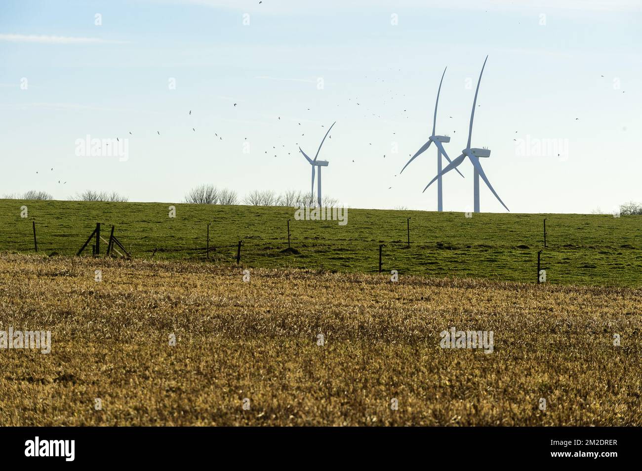 Parc eolien au milieu des champs dans les campagnes Wallones. | Wind ...